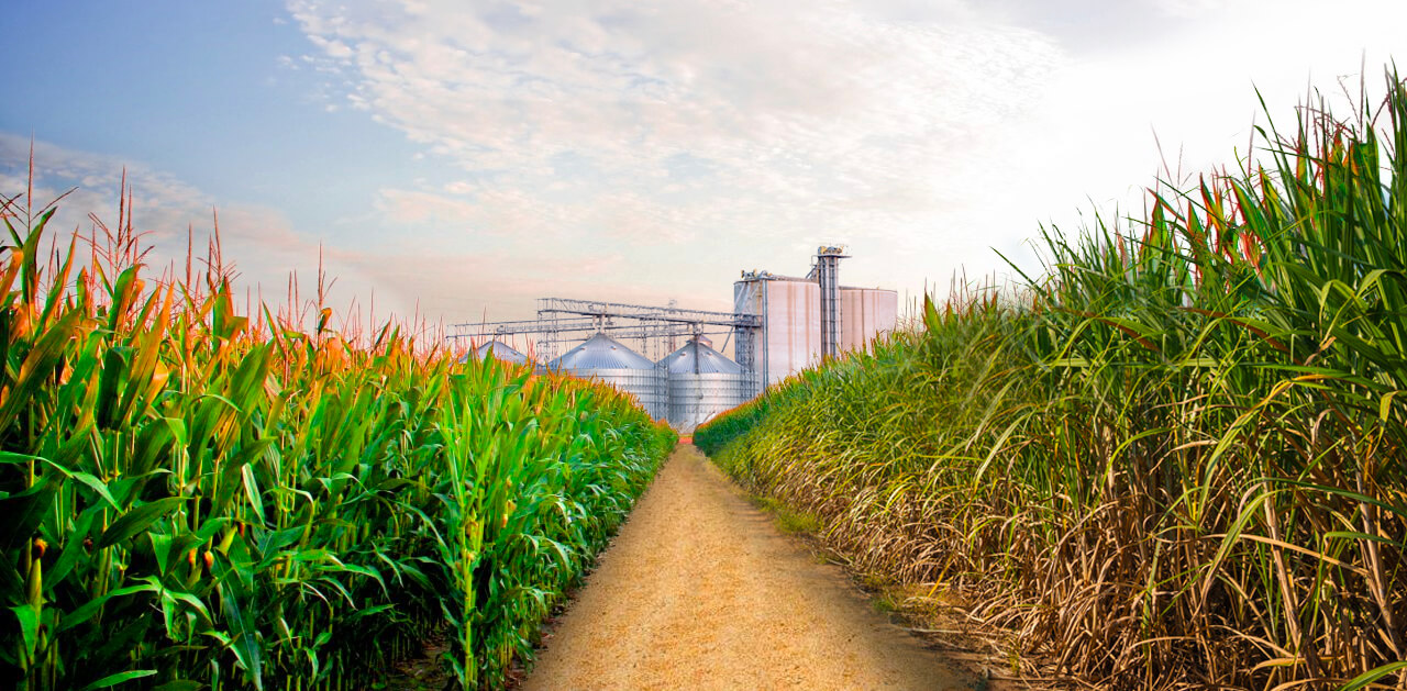 Co-Located Biorefineries | Corn Biorefining Efficiency | ICM